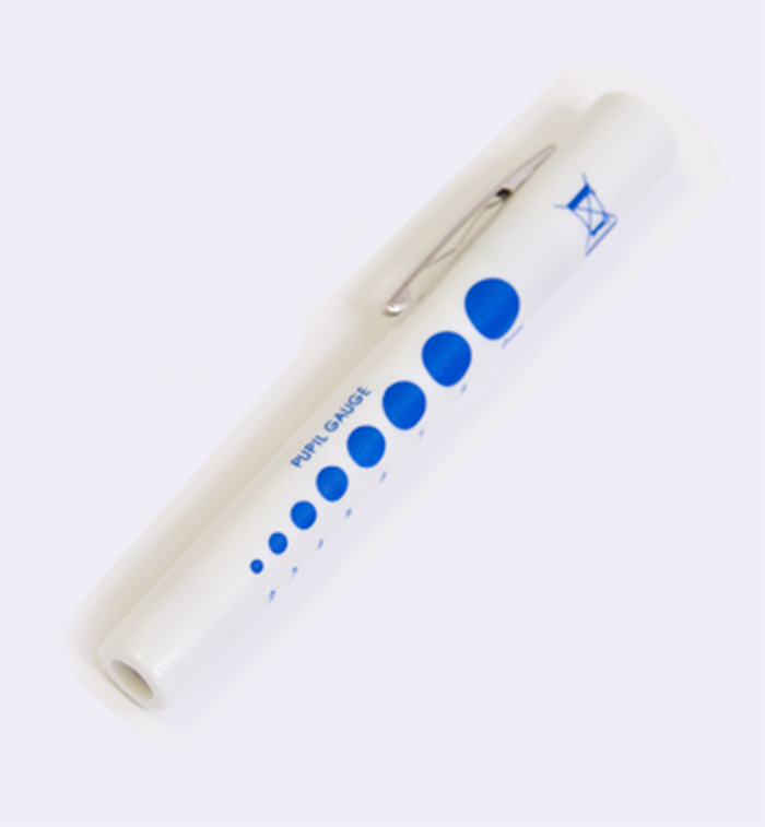 Carey Medical | Disposable Pen Torch (Single)